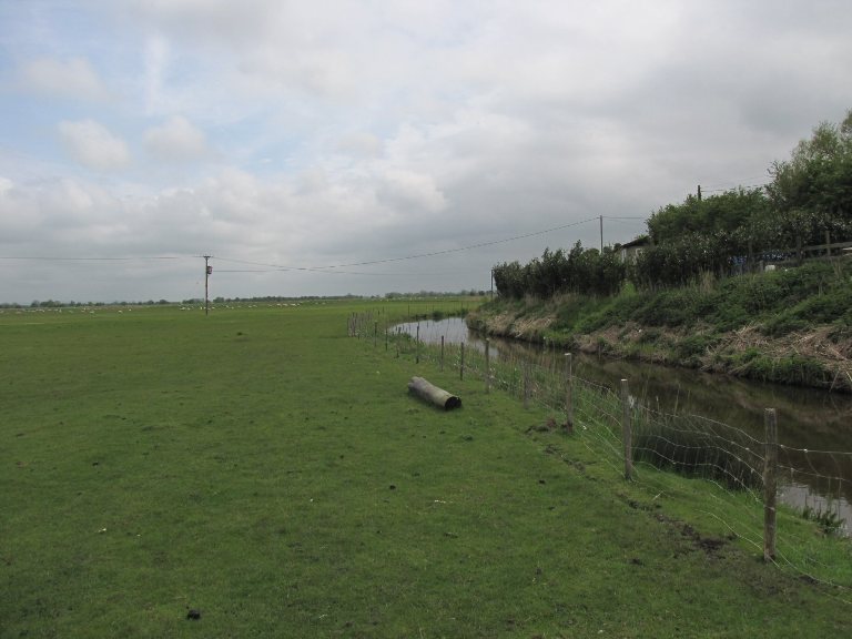 New and Old Dowells River